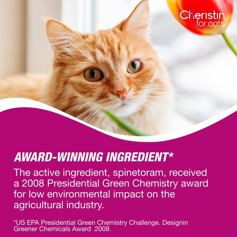 Cheristin for cats topical flea treatment store