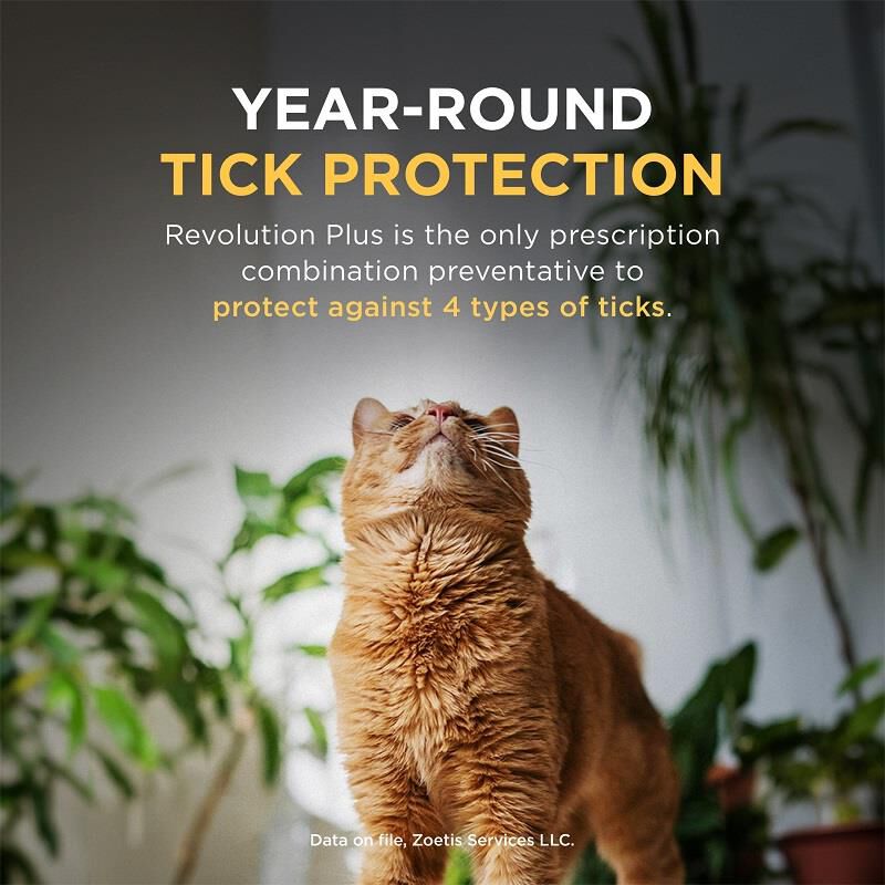 Revolution Plus for Cats Farm Fleet Rx Pet Pharmacy