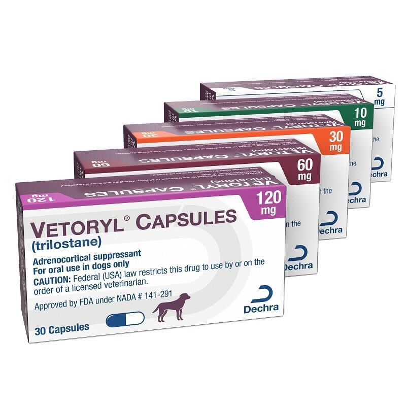 Pet Meds Online: Trusted Pharmacy for Pet Medicine | Blains Farm & Fleet