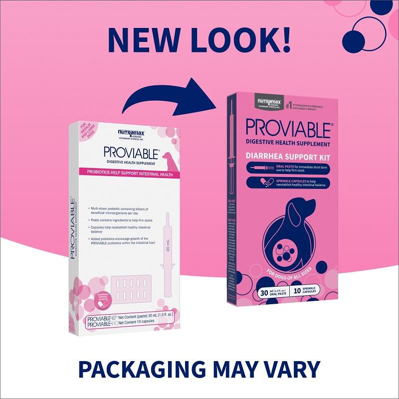 Proviable KP 30 ml Paste + 10 Caps for Dogs | Farm & Fleet Rx Pet Pharmacy