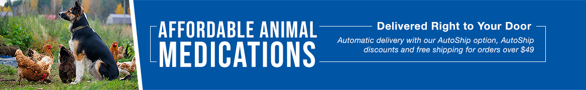Adequan Canine Injection Vial for Dogs | Farm & Fleet Rx Pet Pharmacy
